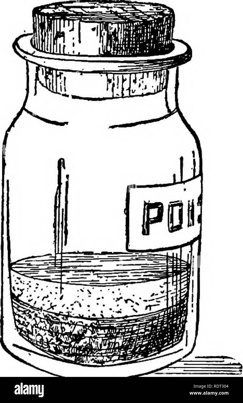 Human Trachea In A Jar