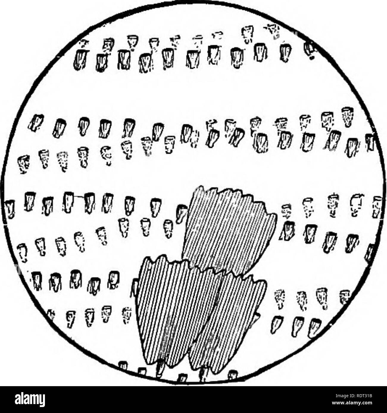 Human made markings hi-res stock photography and images - Alamy