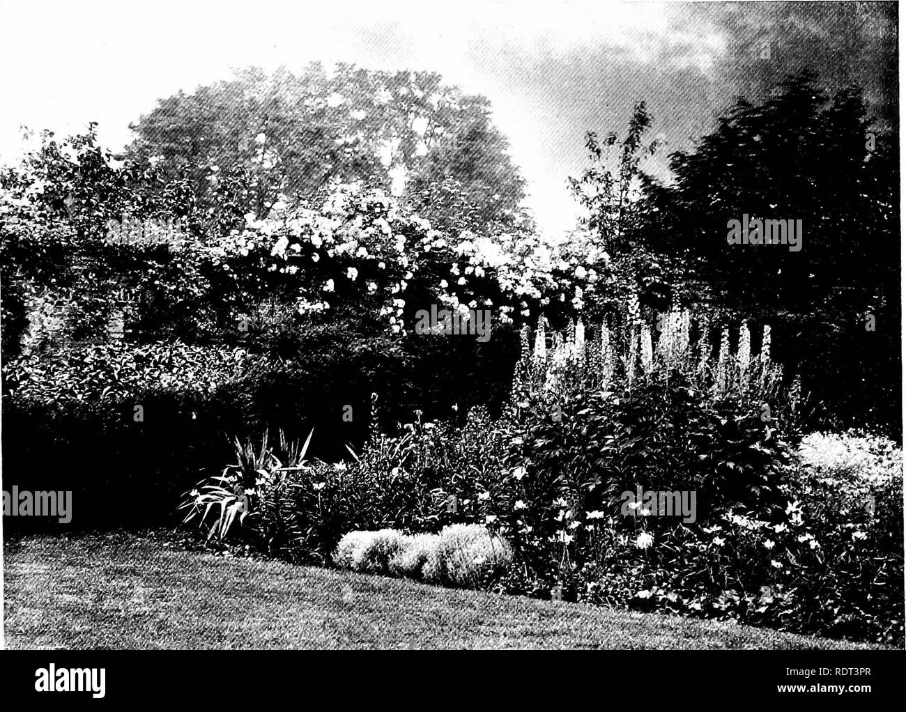 Different planting levels hi-res stock photography and images - Alamy