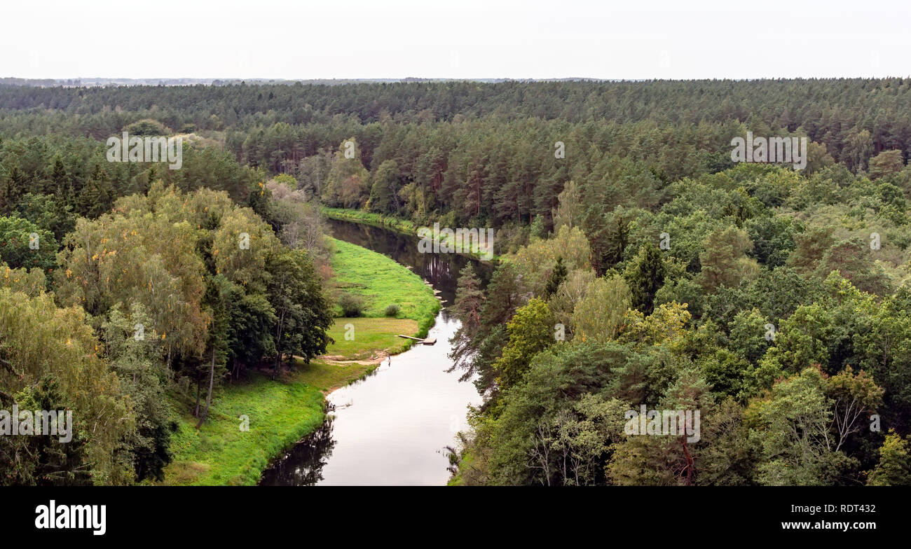 Pinewood treetops hi-res stock photography and images - Alamy