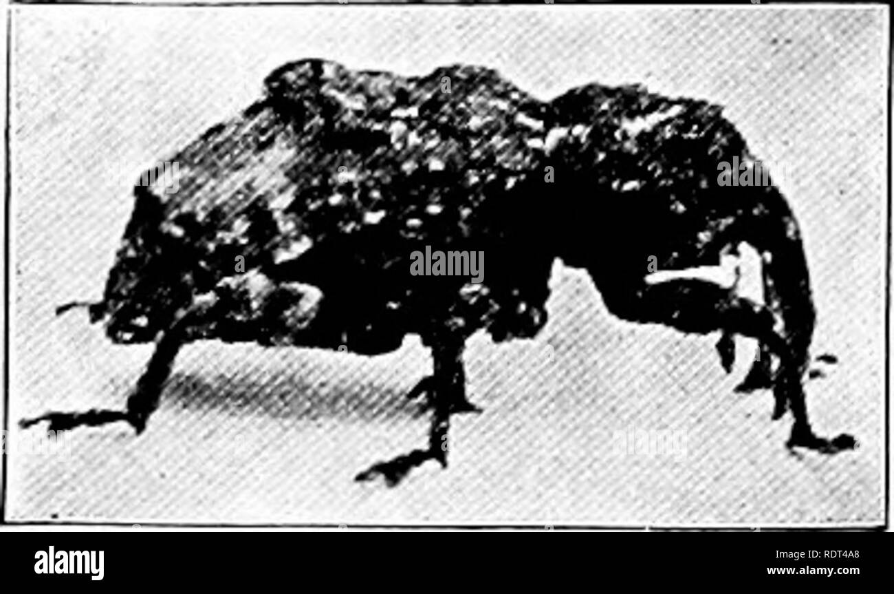 Jaws of the earth Black and White Stock Photos & Images - Alamy