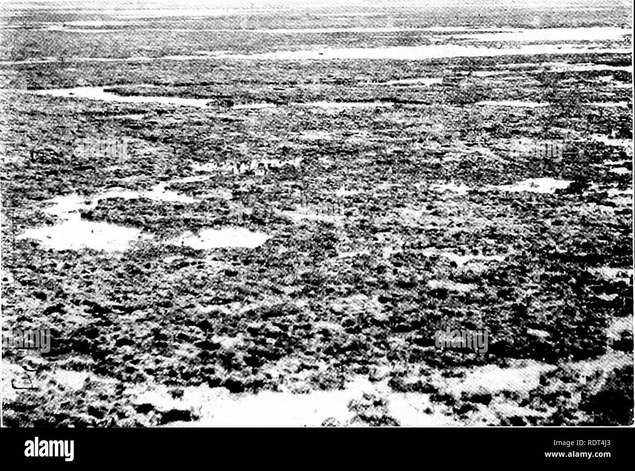 Crescent forms Black and White Stock Photos & Images - Alamy