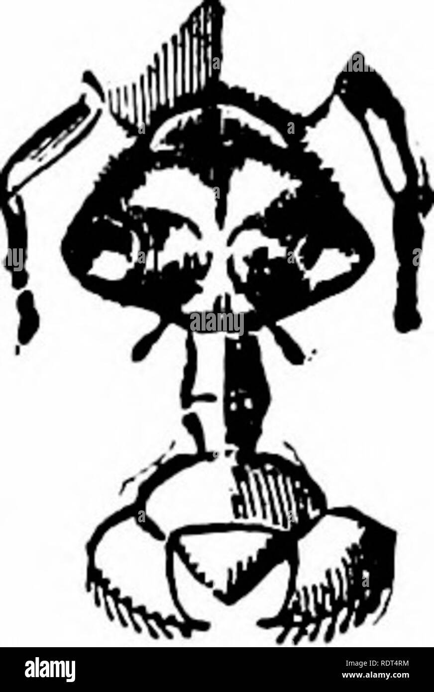 Prehensile lip Black and White Stock Photos & Images - Alamy