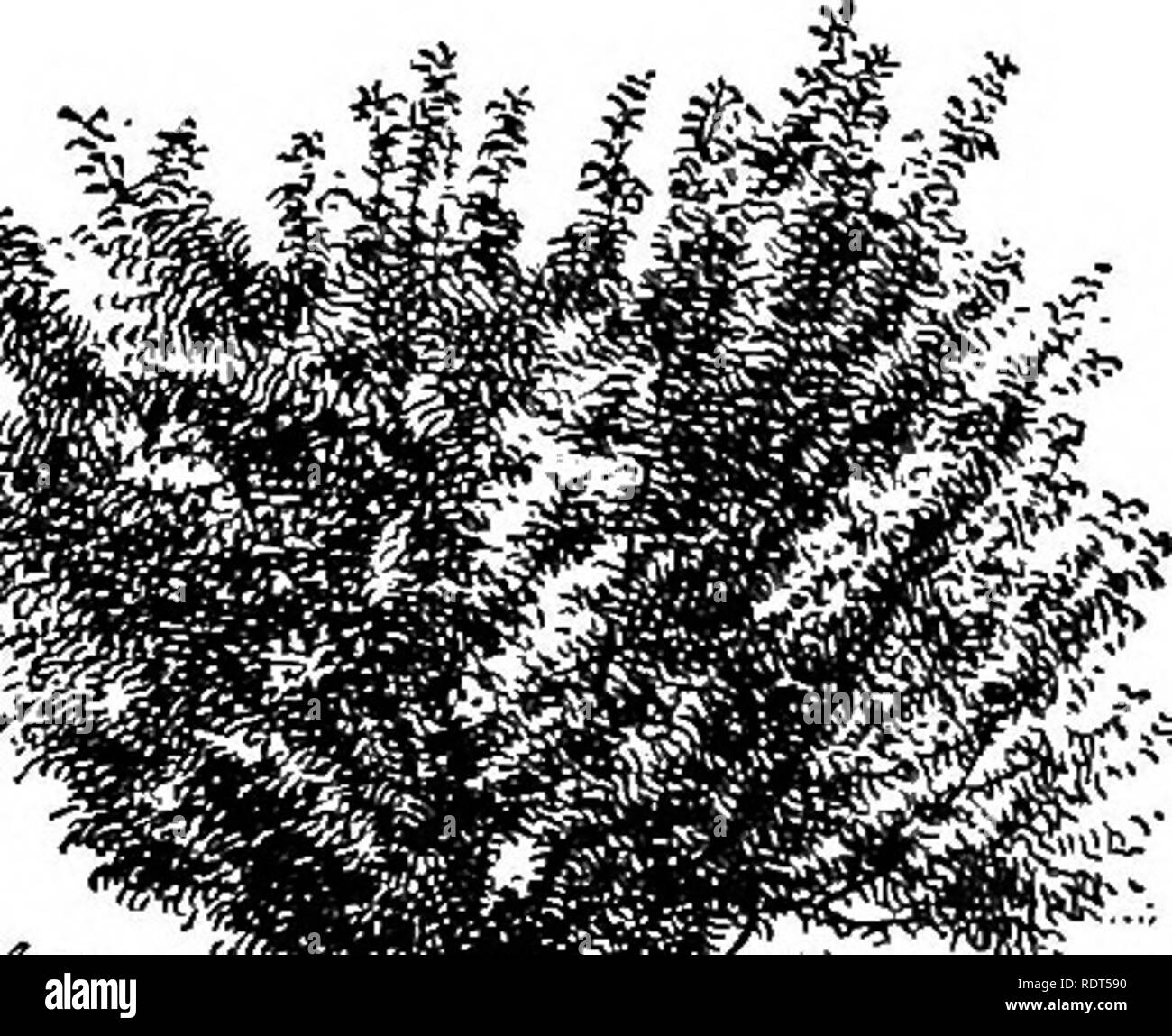 . The principles of fruit-growing, with applications to practice. Fruit ...