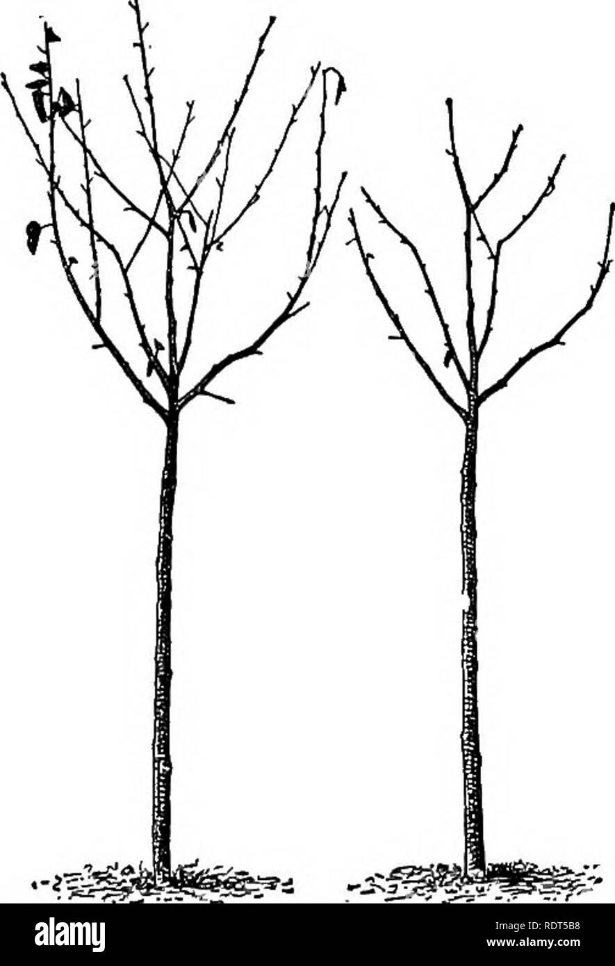 234 feet high Cut Out Stock Images & Pictures - Alamy