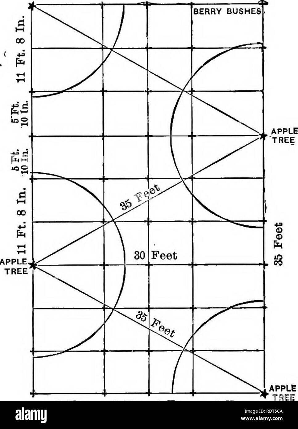 . The principles of fruit-growing, with applications to practice. Fruit ...