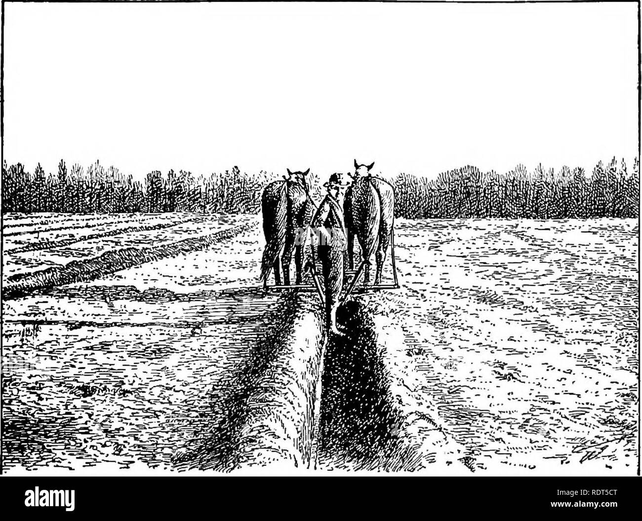 Practice plow Black and White Stock Photos & Images - Alamy