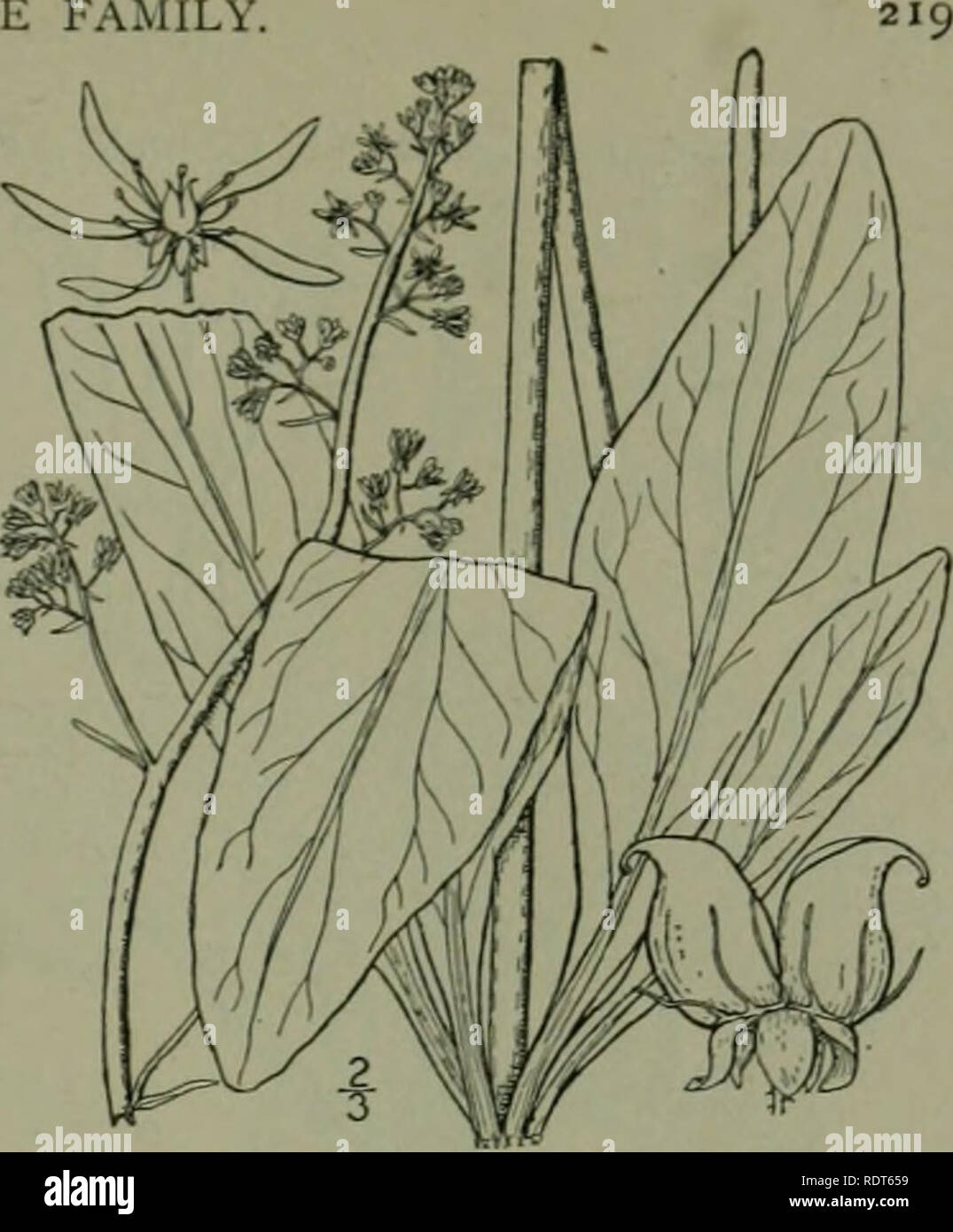 Faro x hi-res stock photography and images - Alamy