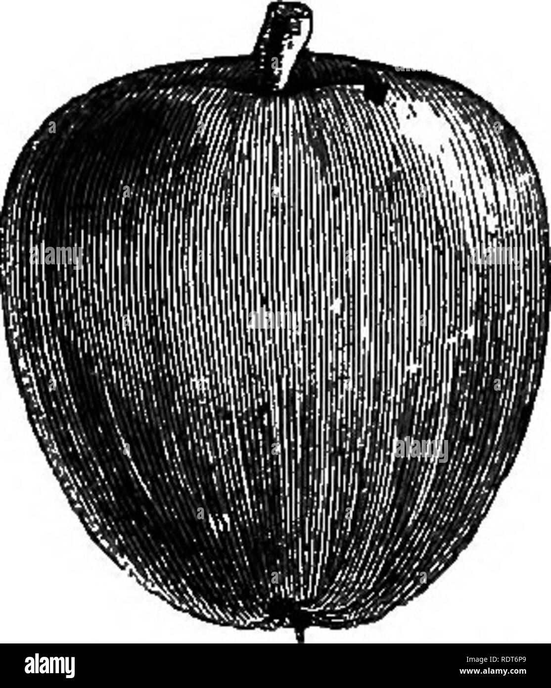 Enhanced flavour Black and White Stock Photos & Images - Alamy