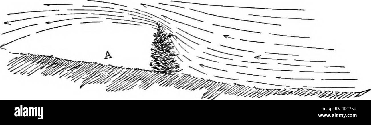 Wind deflection Black and White Stock Photos & Images - Alamy