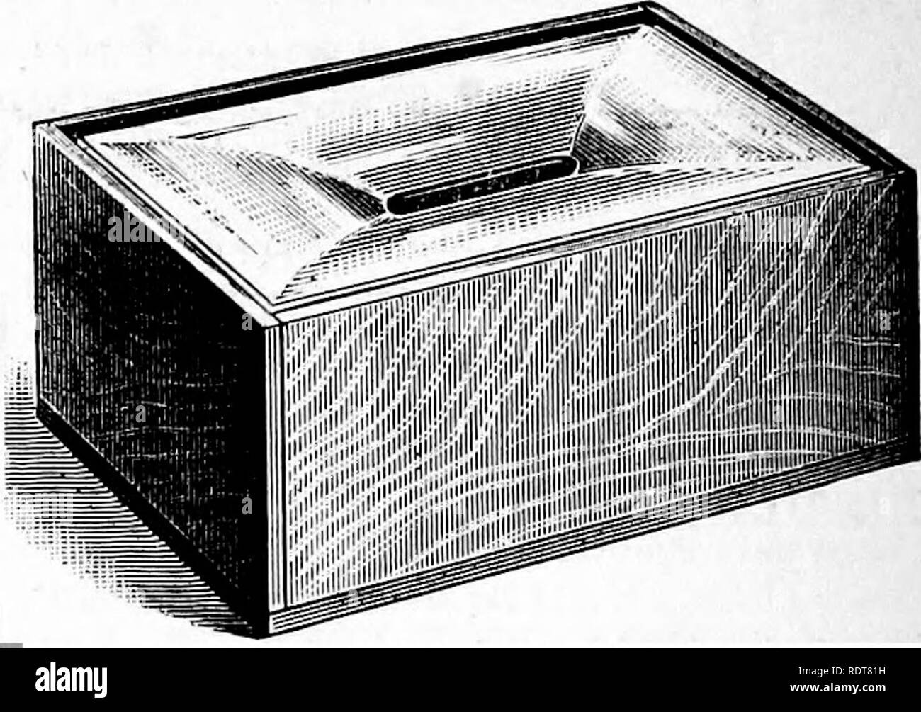 Beetle traps Black and White Stock Photos & Images - Alamy