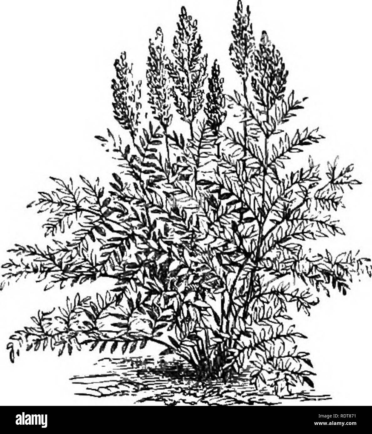 Potting walls Black and White Stock Photos & Images - Alamy