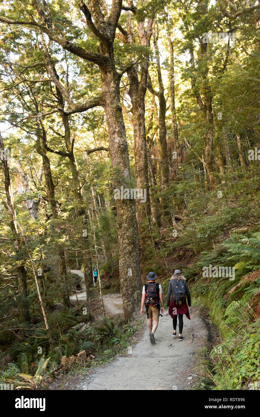 Up the matukituki hi-res stock photography and images - Alamy