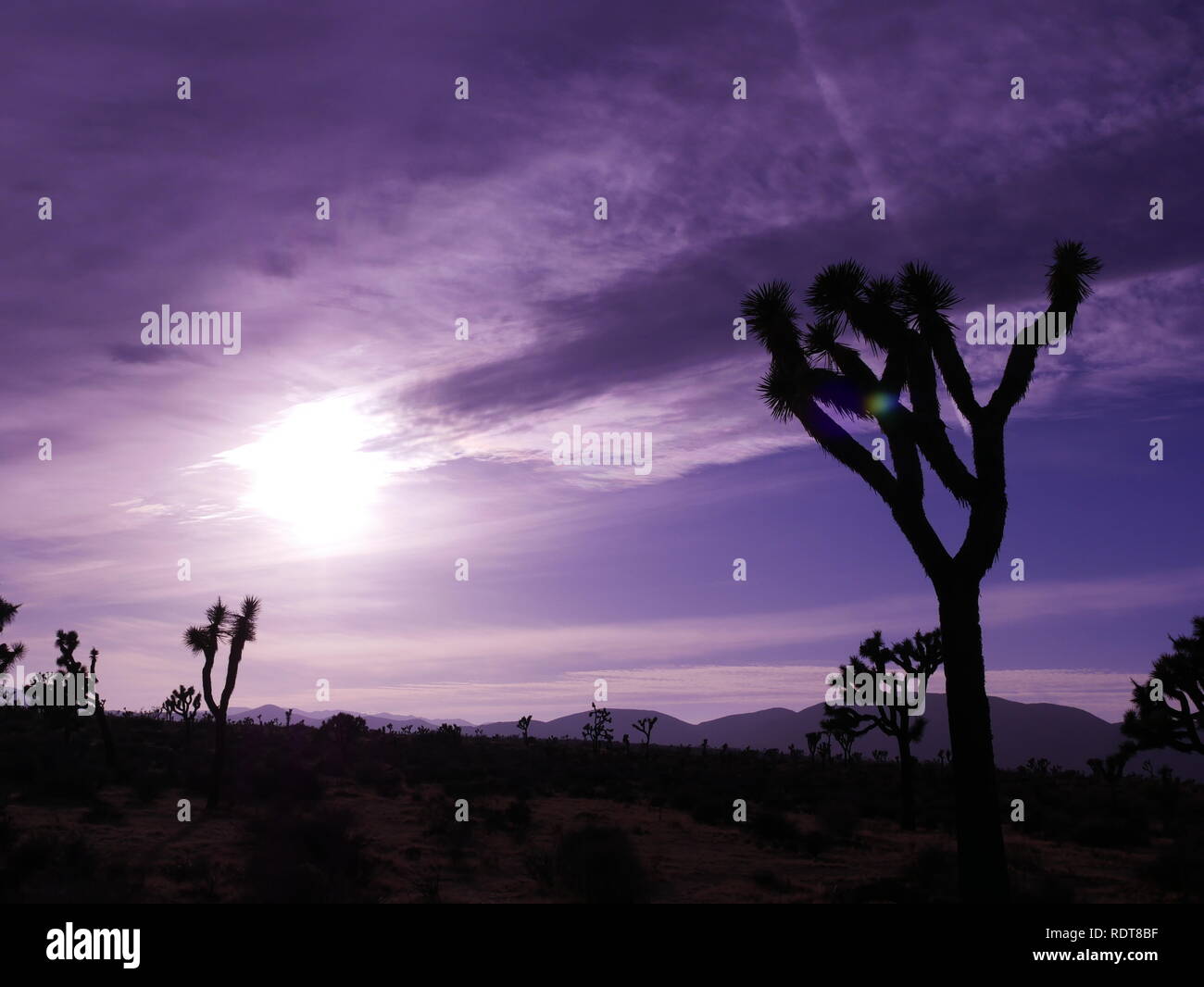 Desert scene in texas hill hi-res stock photography and images - Alamy