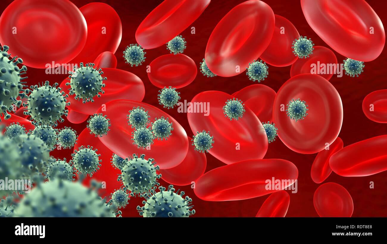 Blood cells and virus Stock Photo - Alamy