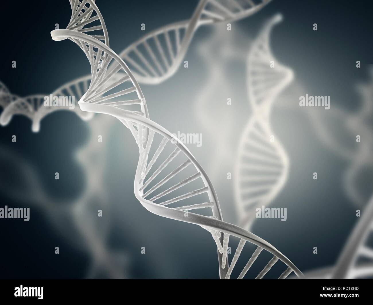 Dna replication hi-res stock photography and images - Alamy