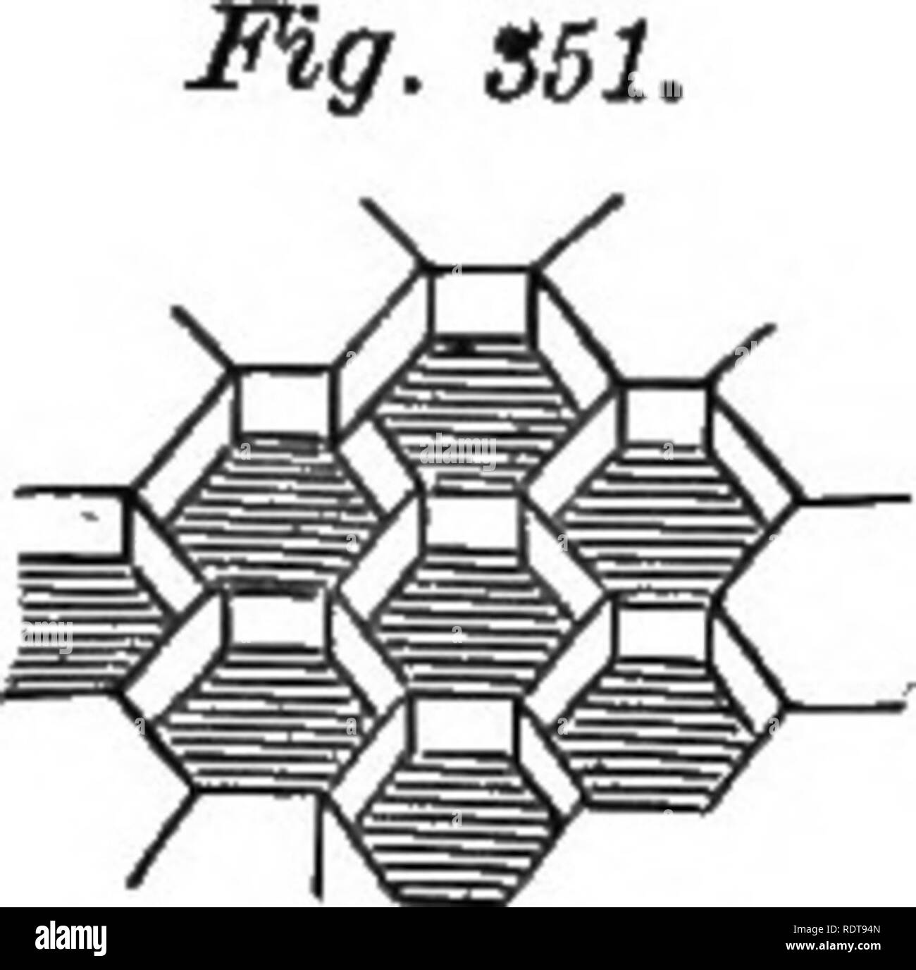 Maggot head Black and White Stock Photos & Images - Alamy