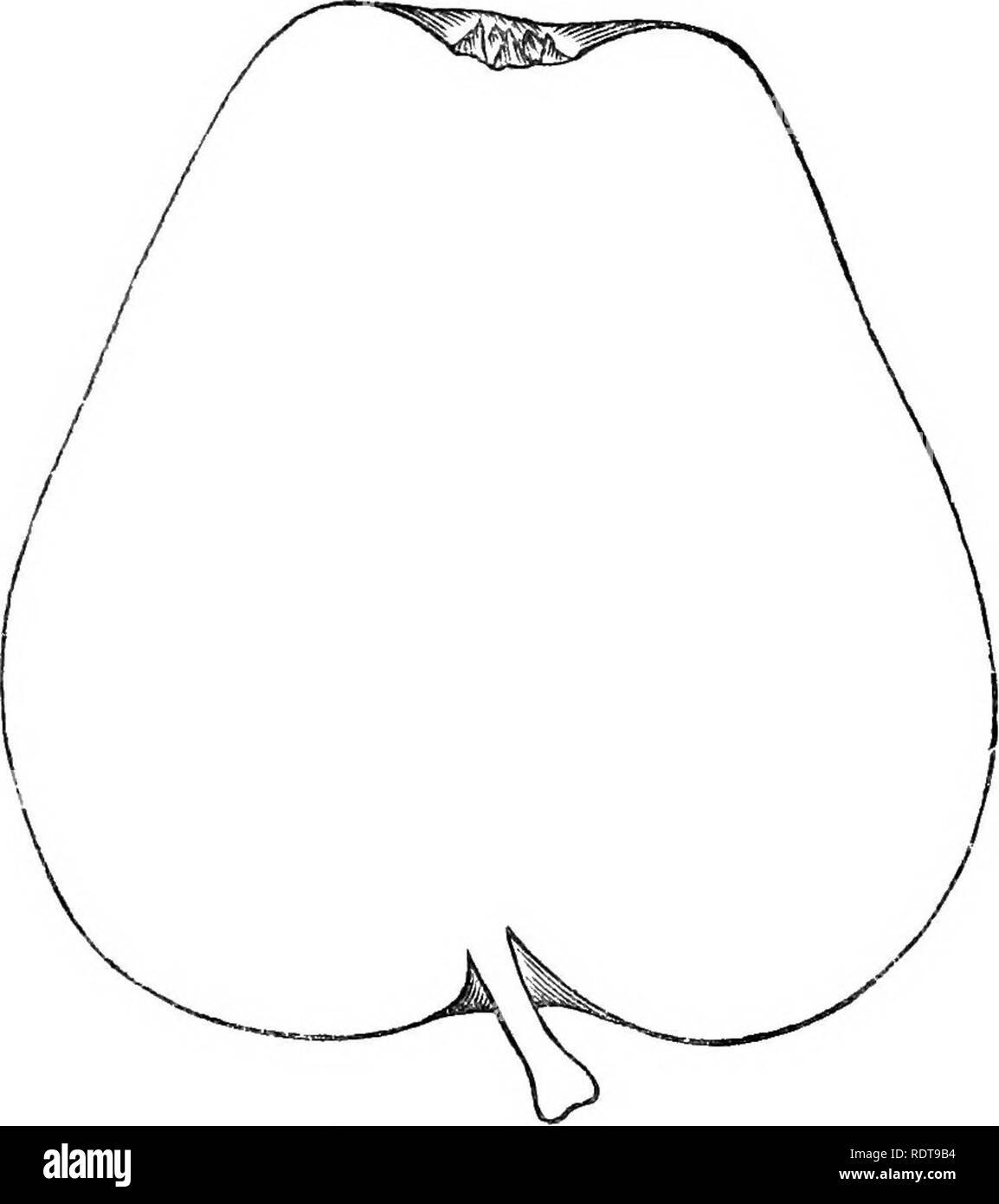 Apple fruit identification hi-res stock photography and images - Alamy