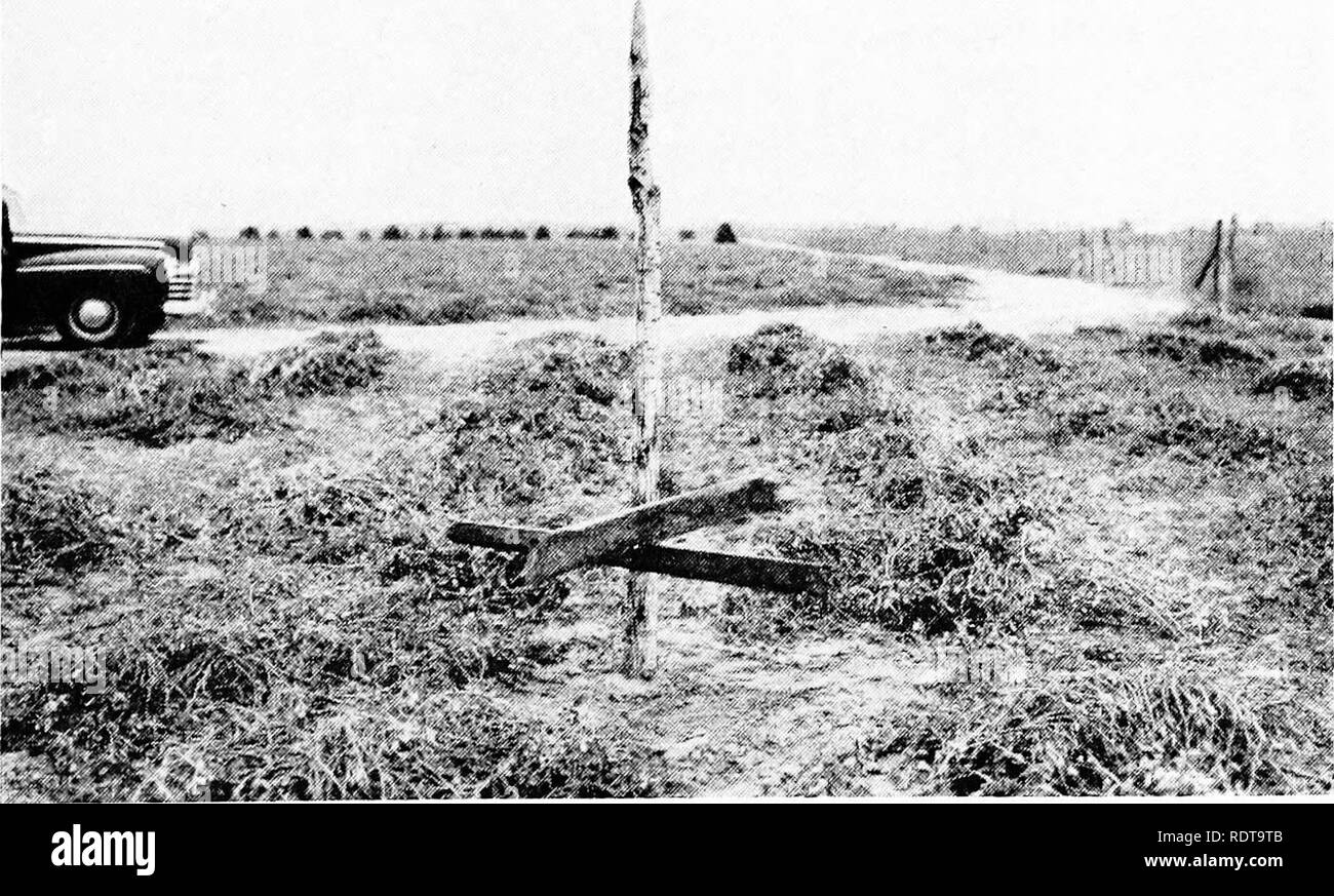 E 12 35 14 Black and White Stock Photos & Images - Alamy