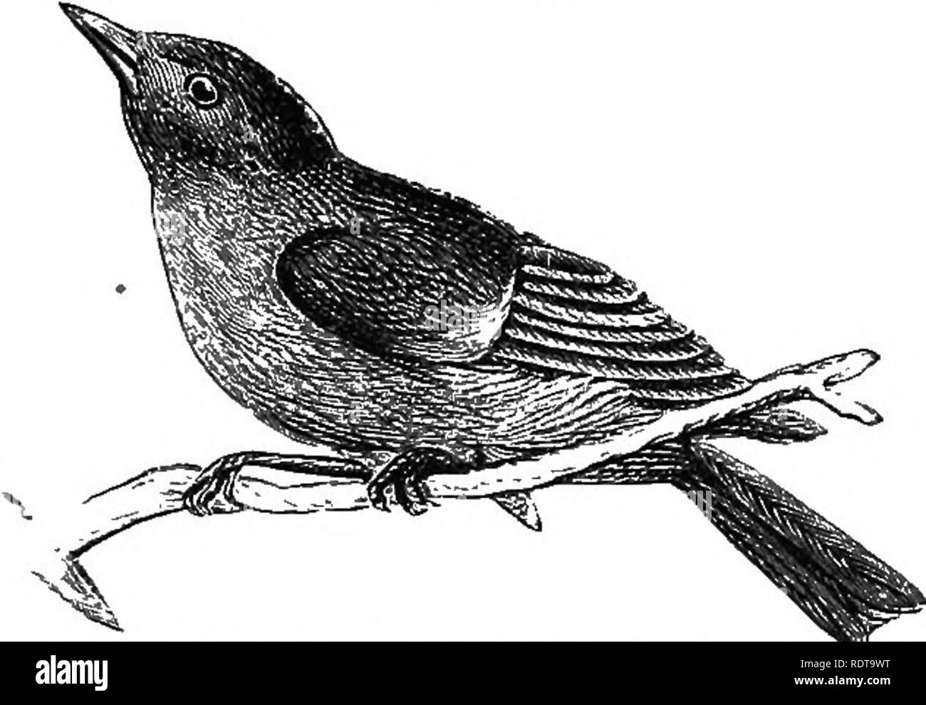 Venture x Black and White Stock Photos & Images - Alamy