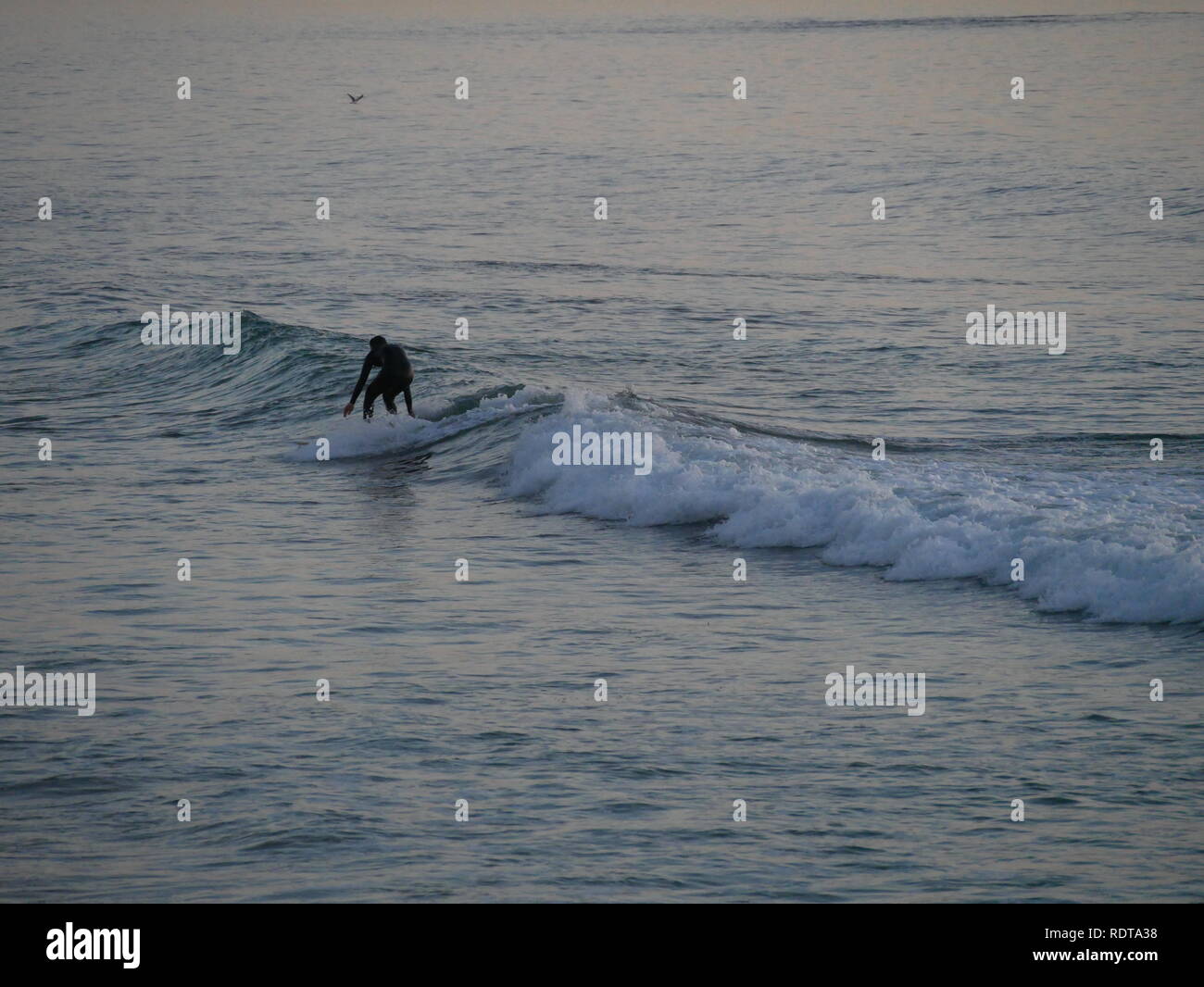 Florida beach surfer sunrise hi-res stock photography and images - Alamy