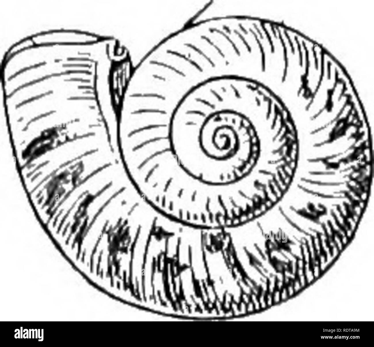 37 n a pfeiffer Black and White Stock Photos & Images - Alamy