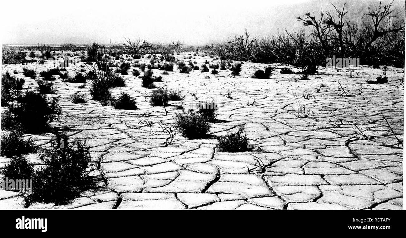 Hemispherical basin Black and White Stock Photos & Images - Alamy