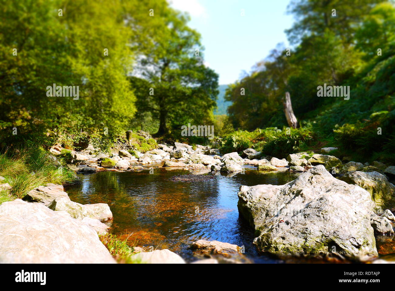 Green ireland landscape hi-res stock photography and images - Alamy