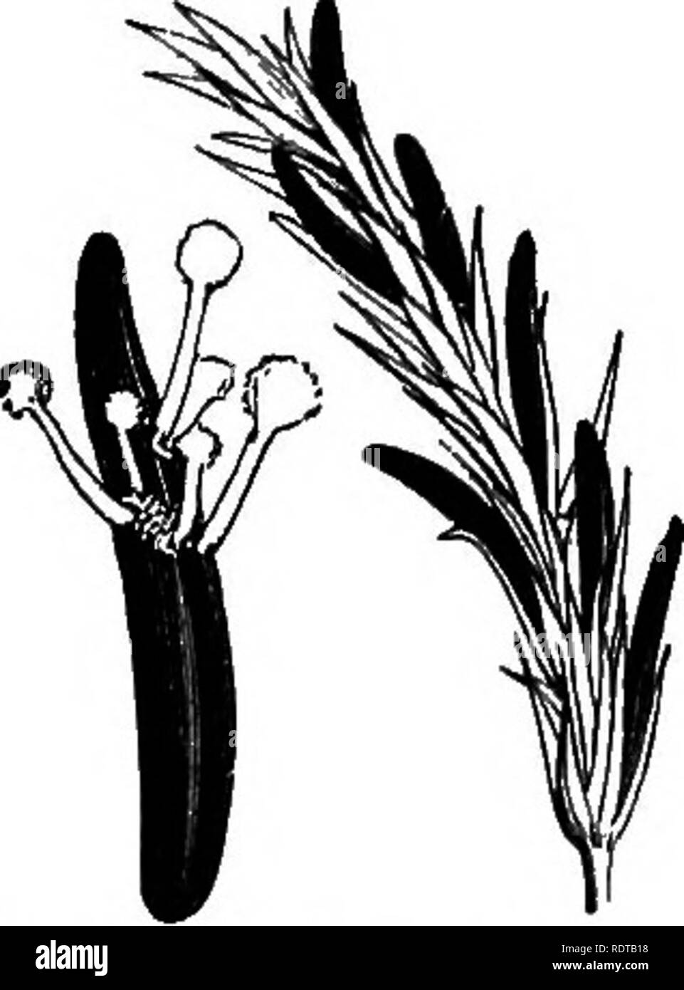 Place of prostration Black and White Stock Photos & Images - Alamy