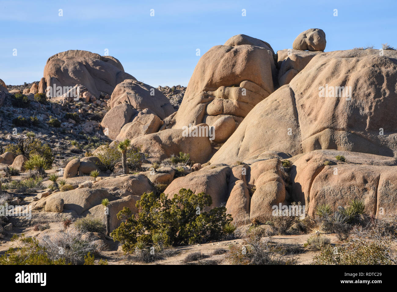 Joshua Tree National Park, Twenty-nine Palms, 29 Palms, California, USA ...