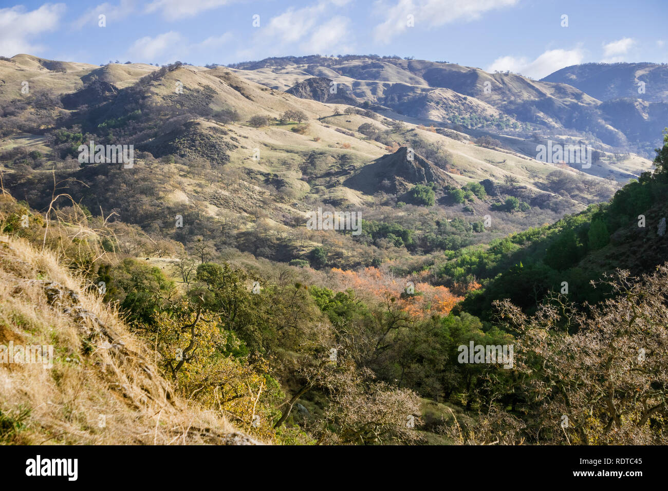Morning view of a valley in Sunol Regional Wilderness, San Francisco ...