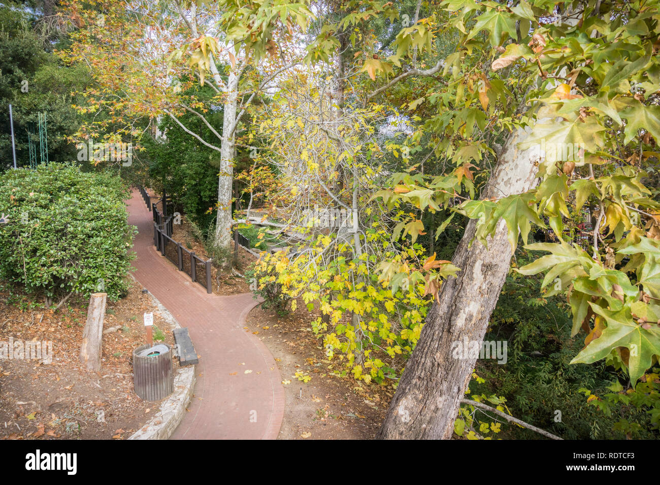 Canopy san luis hi-res stock photography and images - Alamy
