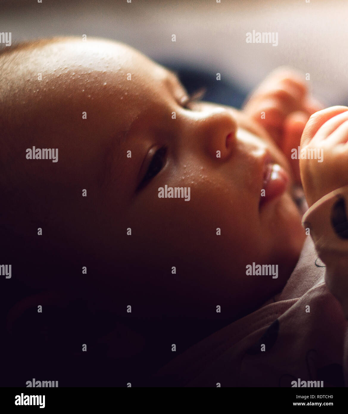 Neonatorum hi-res stock photography and images - Alamy