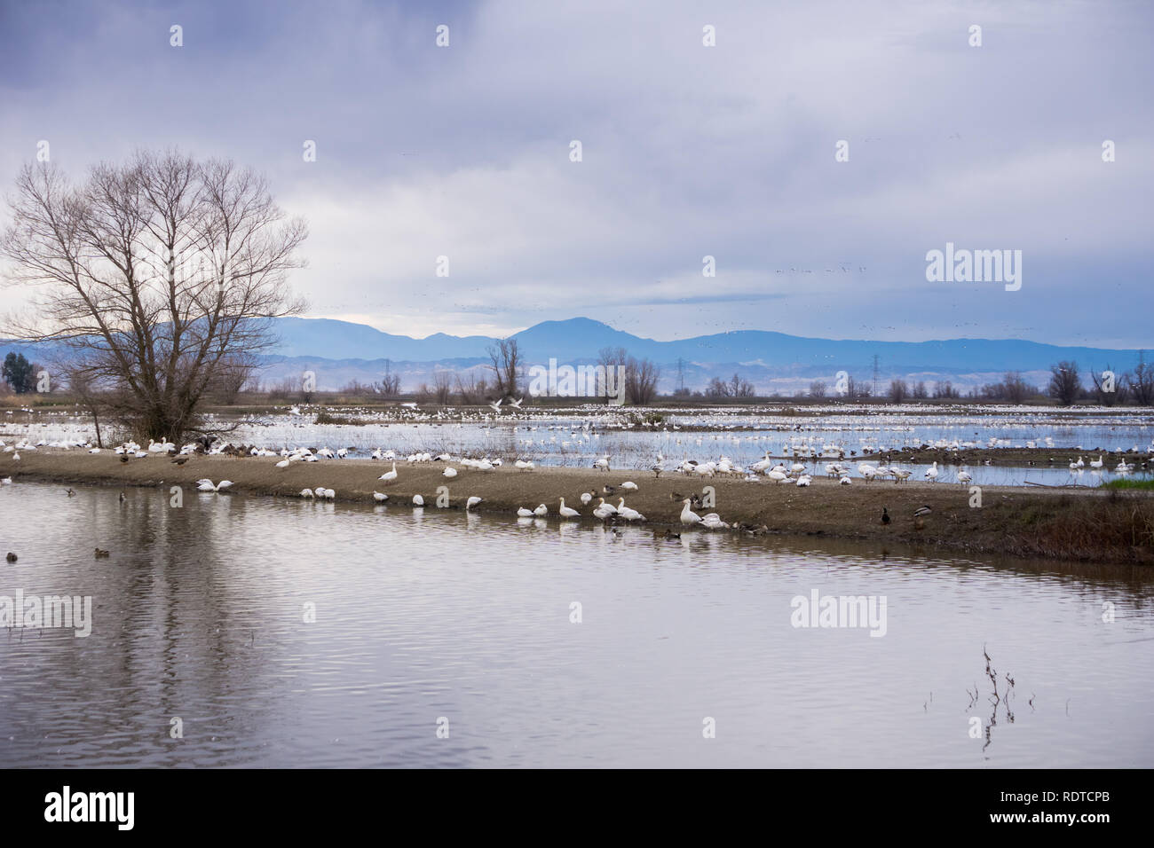 Colusa national wildlife refuge hi-res stock photography and images - Alamy