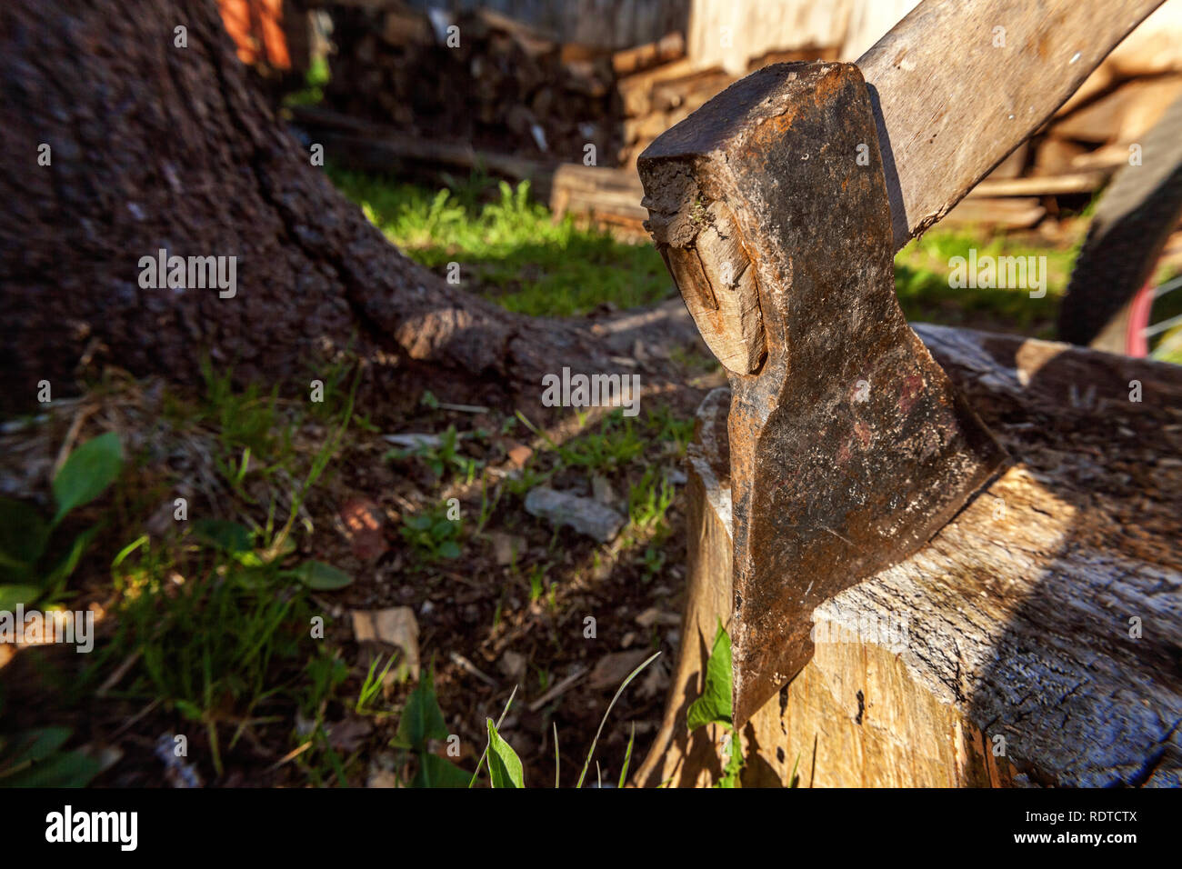 Axe in stump. Axe ready for cutting timber. Woodworking tool ...
