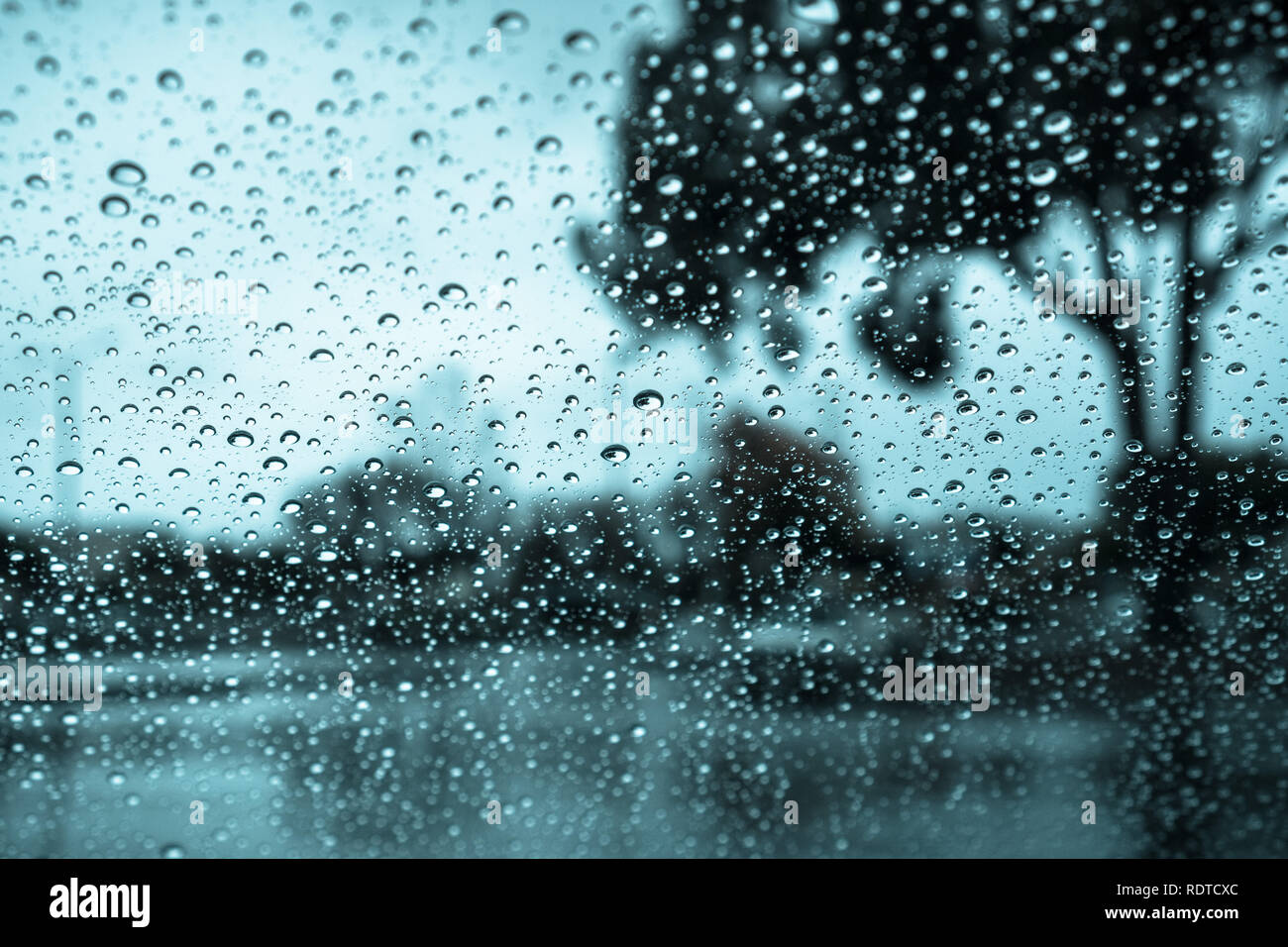Dark and rainy day; raindrops on the windshield; tree shapes visible in ...