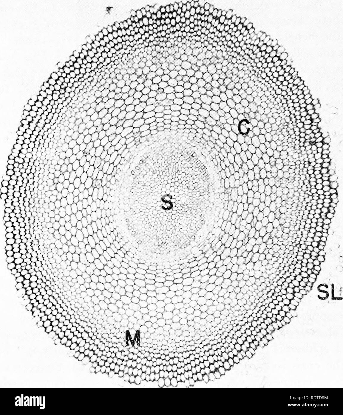 M and m peanuts Black and White Stock Photos & Images - Alamy