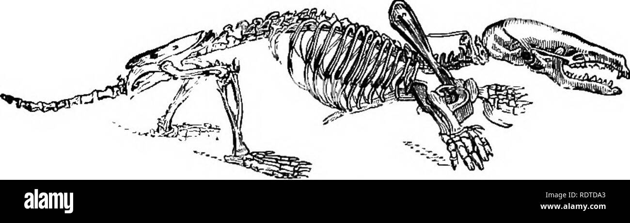 Cylindrical bodies hi-res stock photography and images - Alamy