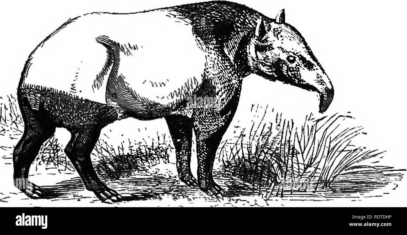 Conical wedge hi-res stock photography and images - Alamy