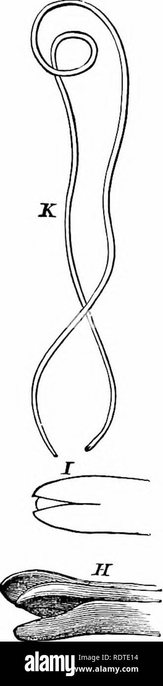 Rotifer wheels Black and White Stock Photos & Images - Alamy