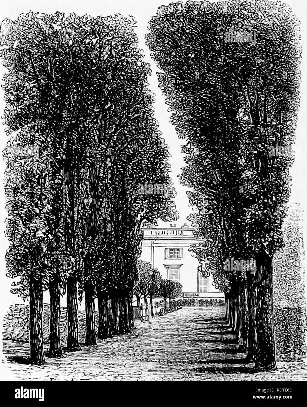 Rectangular plots hi-res stock photography and images - Alamy