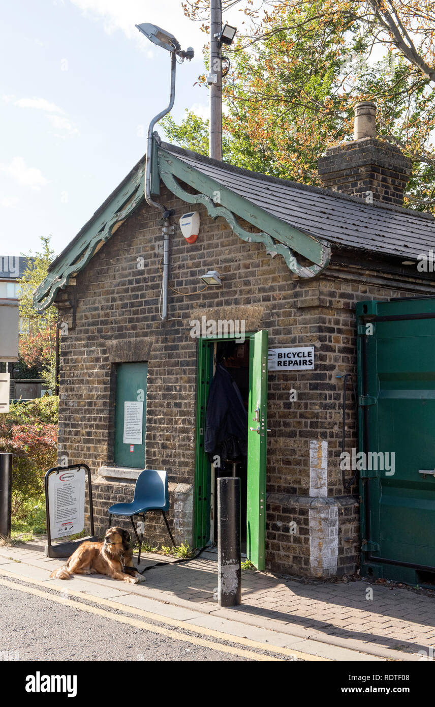 Bike mech hi-res stock photography and images - Alamy