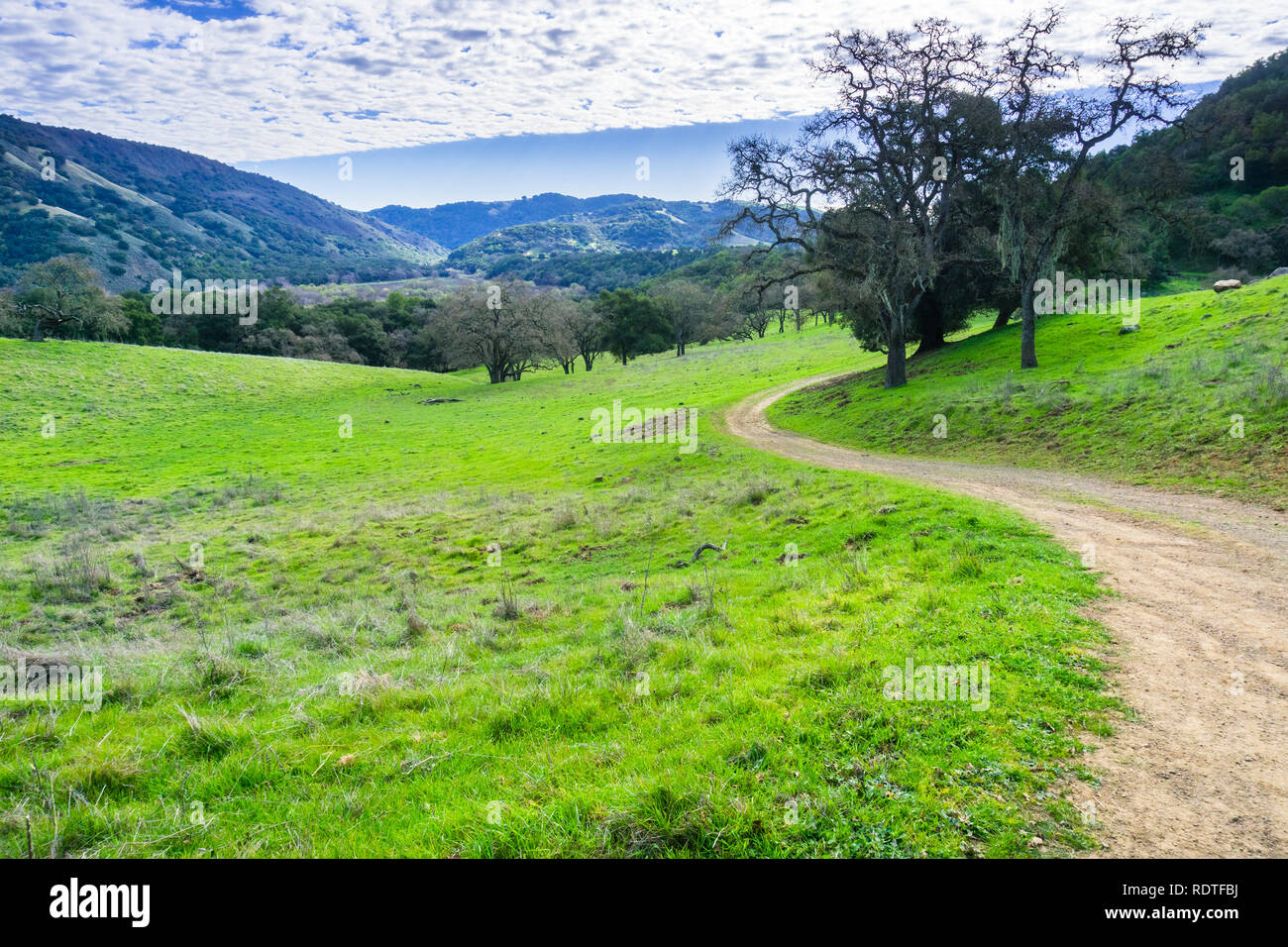 Hiking trail through the hills and valleys of Coyote Lake Harvey Bear ...