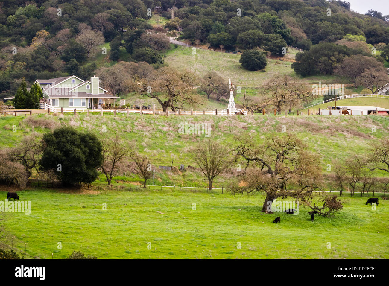 Oak trees gilroy california hi-res stock photography and images - Alamy