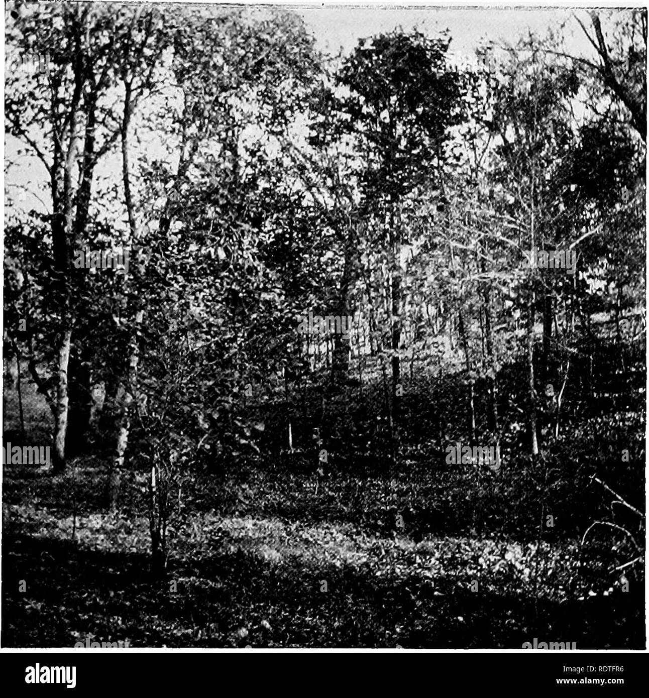 Bridgin hi-res stock photography and images - Alamy