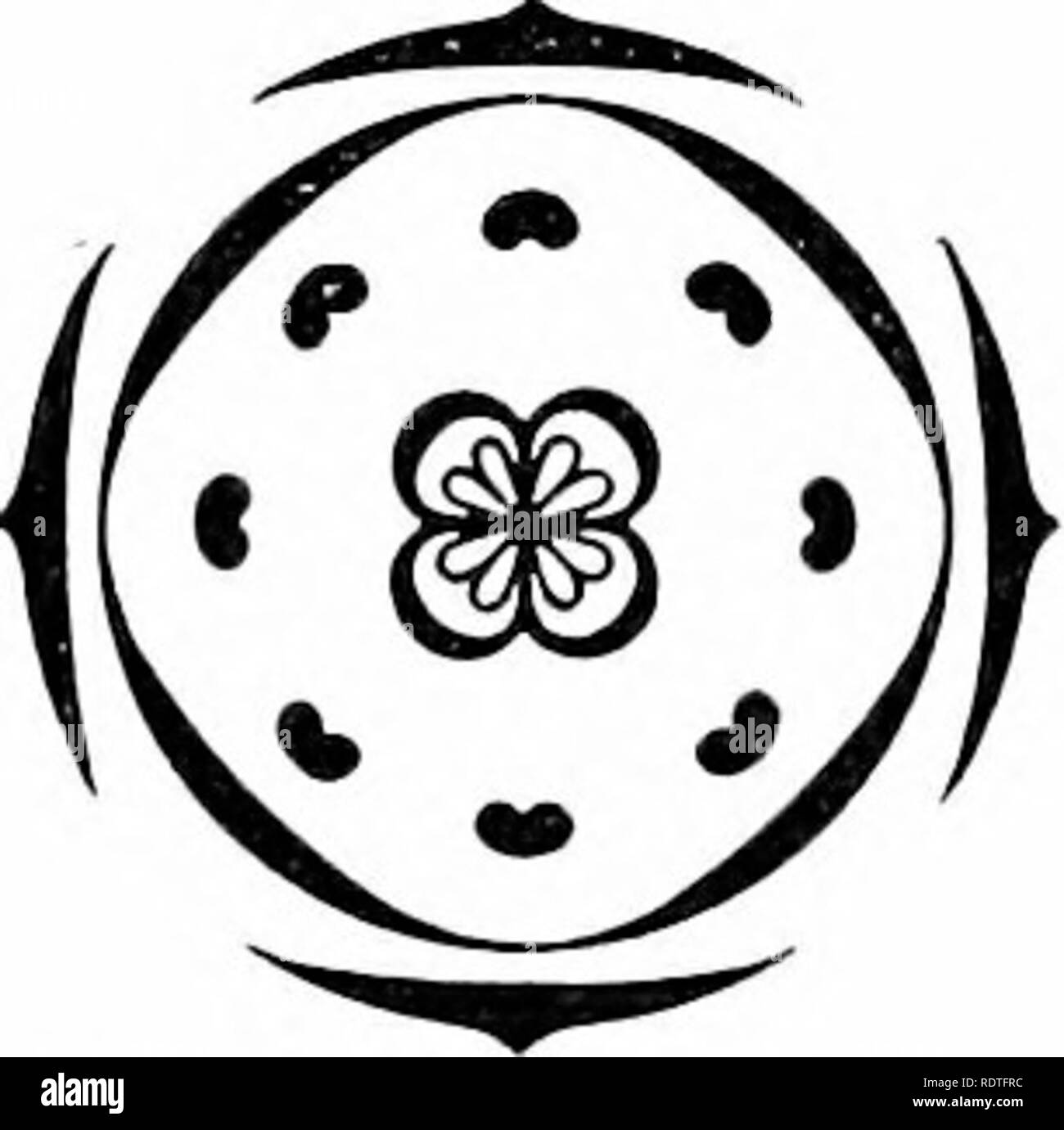 Significance within african plant families hi-res stock photography and ...