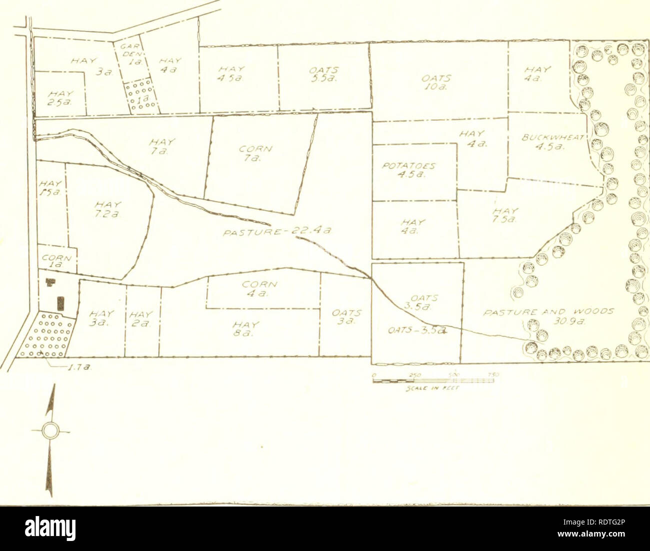 Cotton Plantation Layout