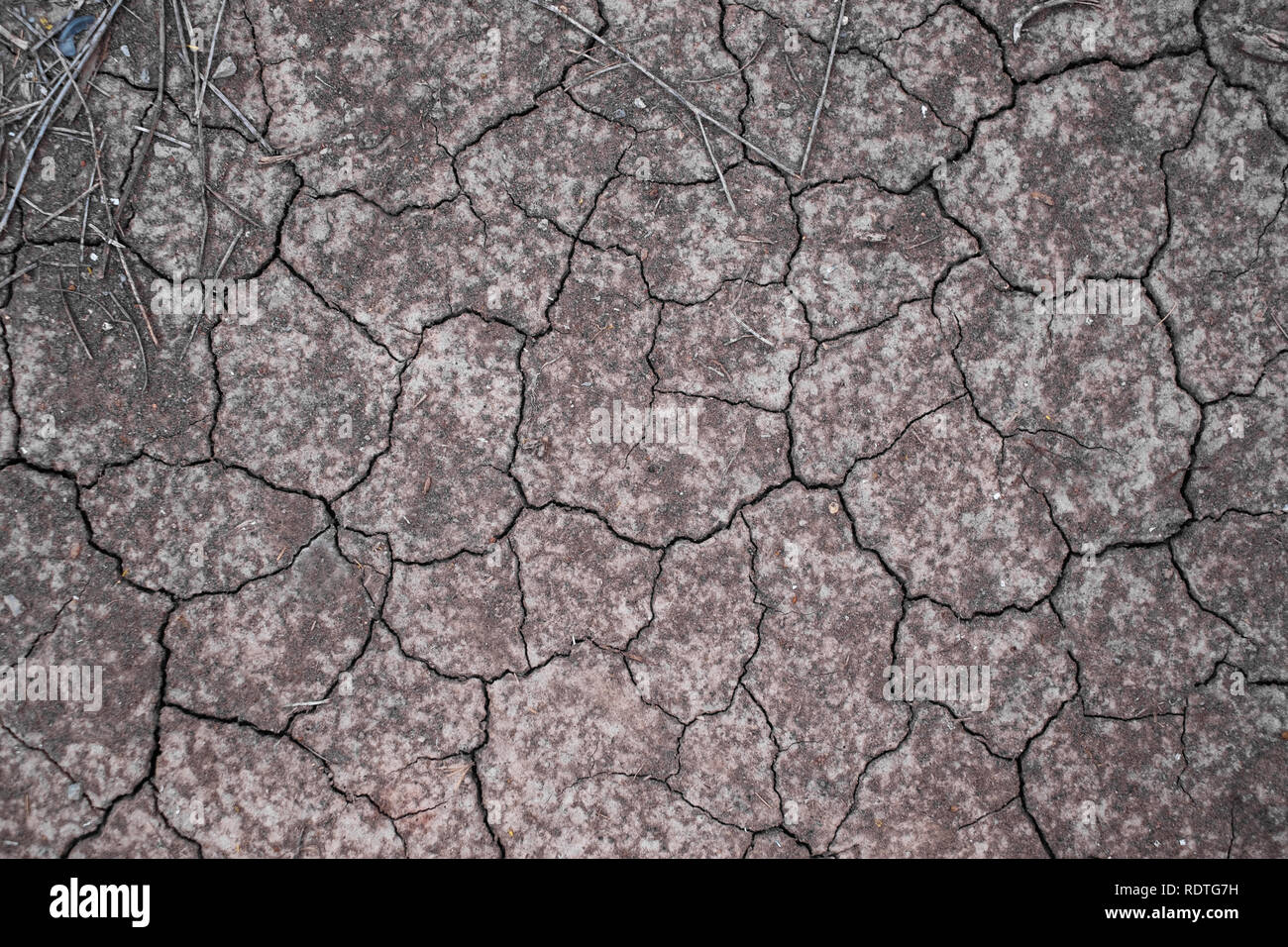 Dry land or dry soil. Cracked ground background. agriculture concept ...