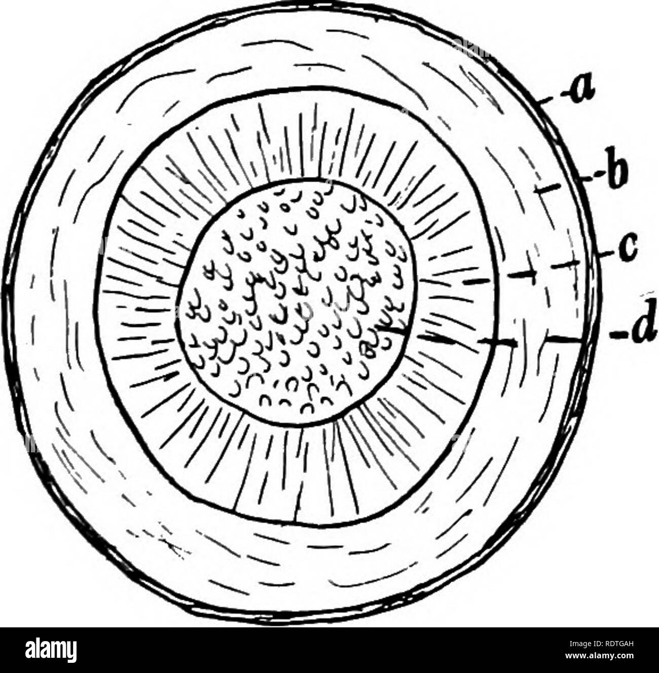 . Botany, with agricultural applications. Botany. 192 STEMS Closed ...