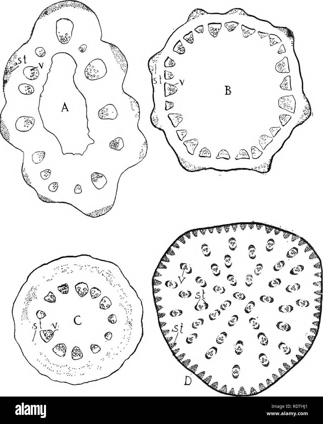 Concave and convex surfaces Black and White Stock Photos & Images - Alamy